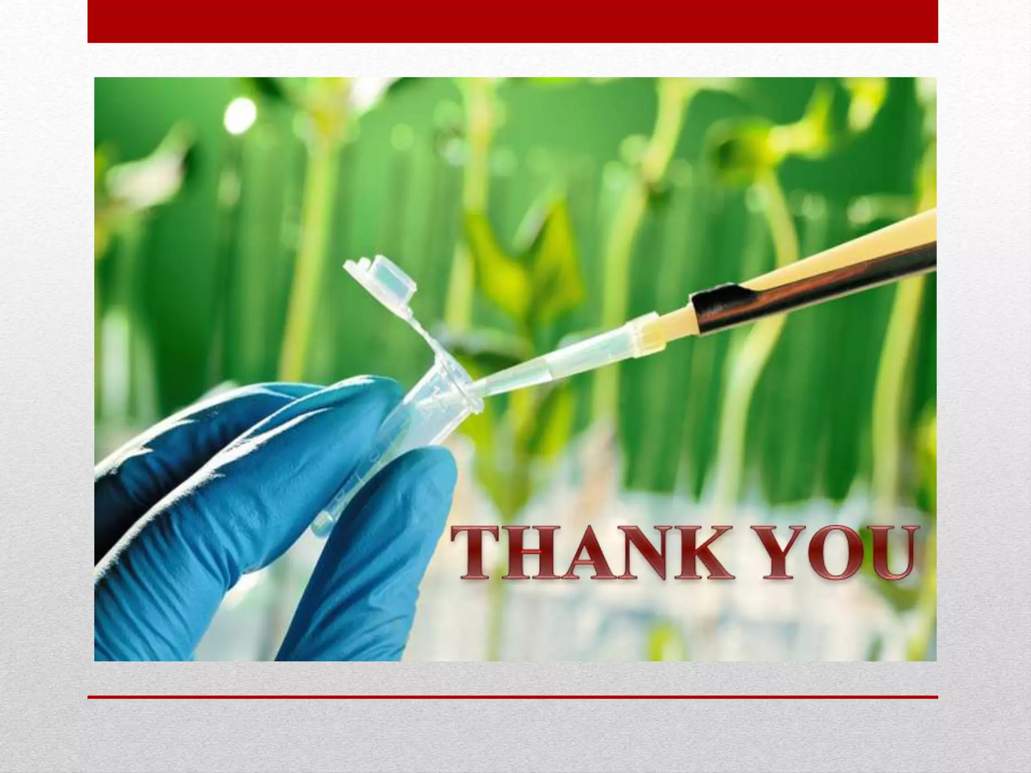 Genetic Preservation of Plant Culture | PPTX | Science