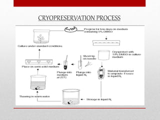 Genetic Preservation of Plant Culture | PPTX