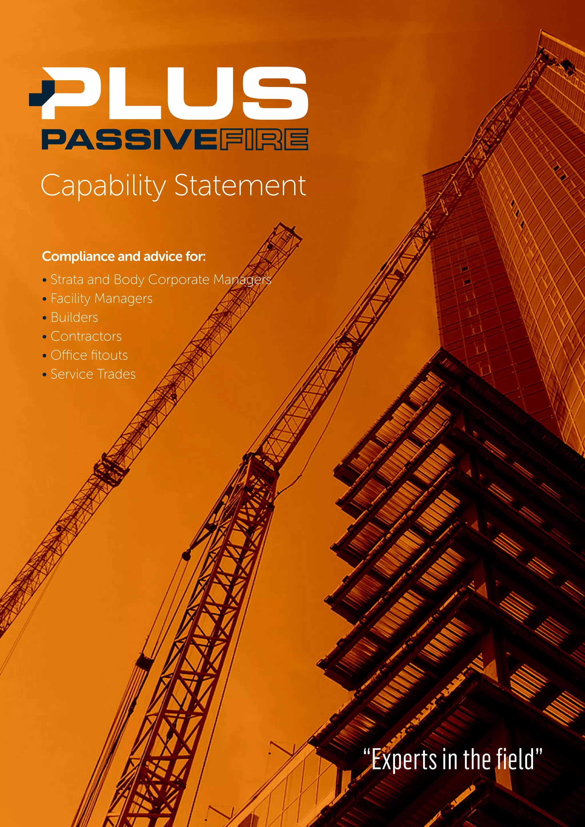 A4 ppf capability statement | PDF