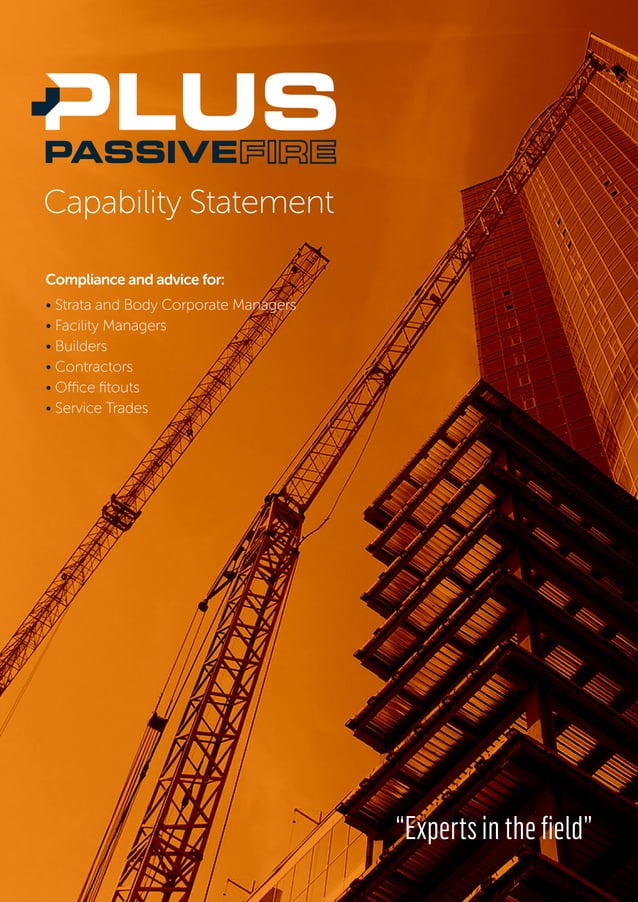 A4 ppf capability statement | PDF