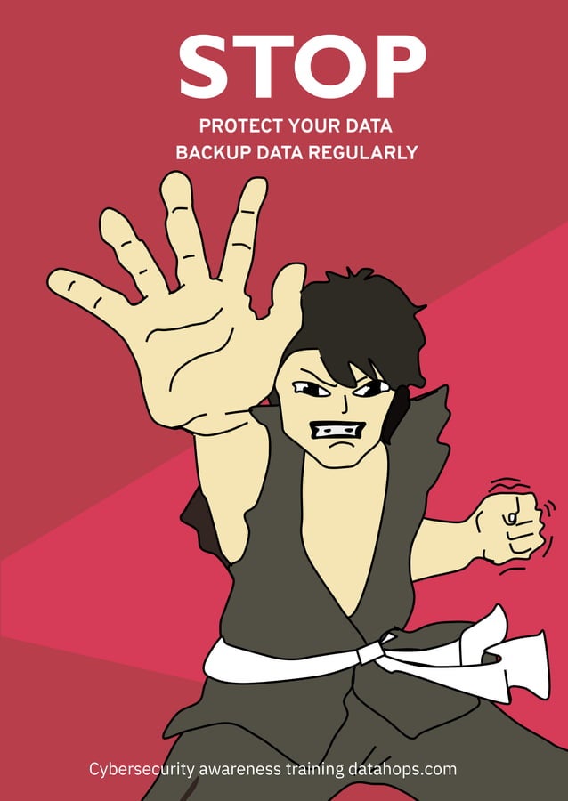 FREE A4 Security Awareness Posters- GDPR Do's Data Protection Ninja | PDF