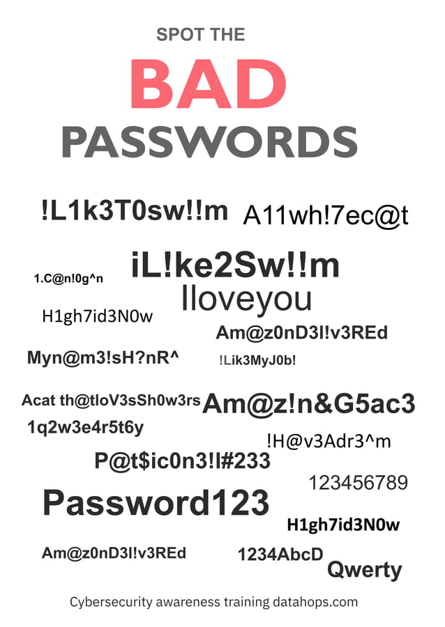 FREE A4 Cyber Security Awareness Posters-Passwords part 5 | PDF