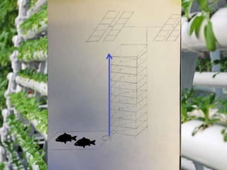 Hult Prize Case Competition | PPTX