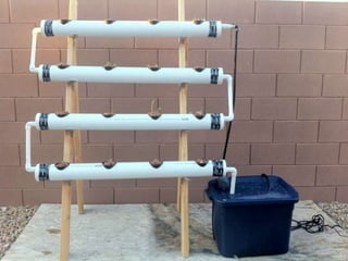 Hult Prize Case Competition | PPT