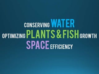 Hult Prize Case Competition | PPTX