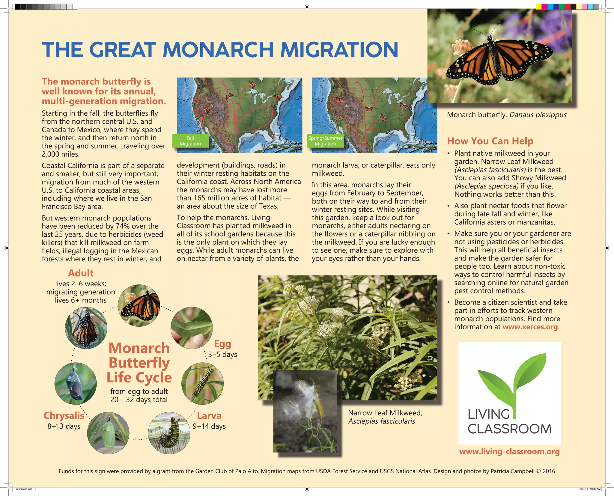 monarchs | PDF