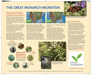 monarchs | PPT