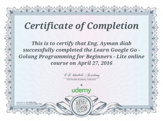 Learn Google Go - Golang Programming for Beginners - Lite | PDF