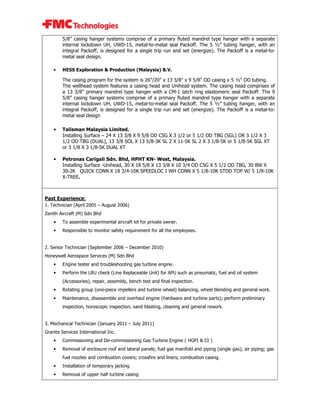 Megat Zulkarnain 2016 CV | PDF