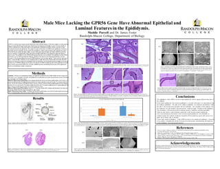 Research Poster August 2016 | PPT