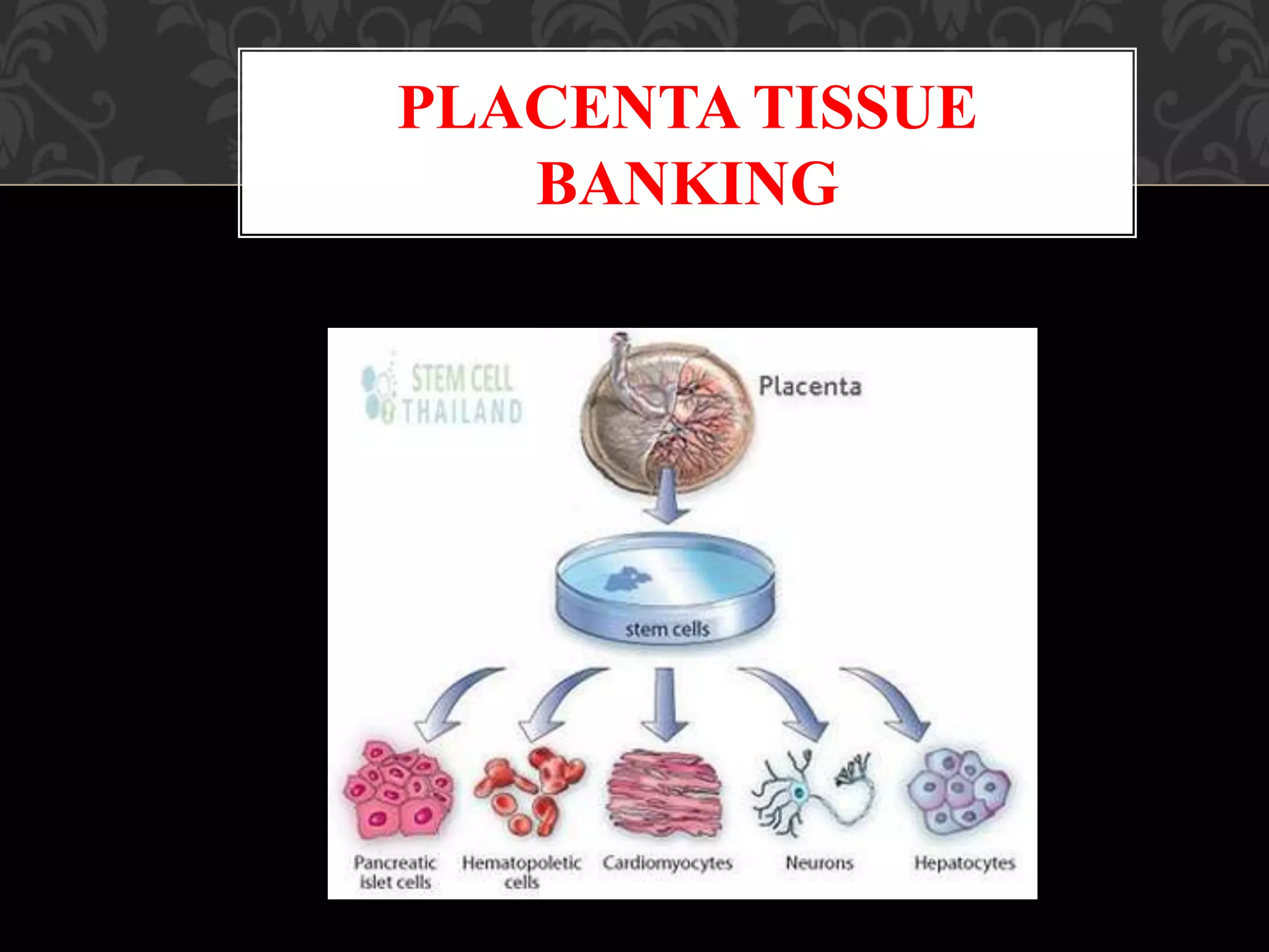 Placenta Tissue Banking | PPTX