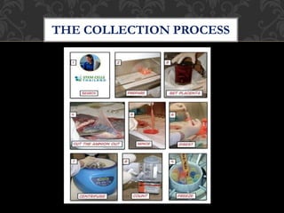 Placenta Tissue Banking | PPTX