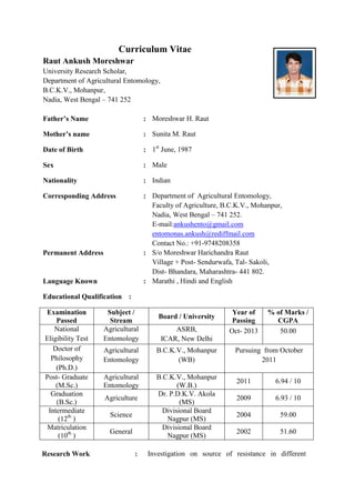 Raut cv | PDF