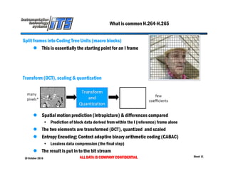 Compression Synopsis H264-H265 | PPT