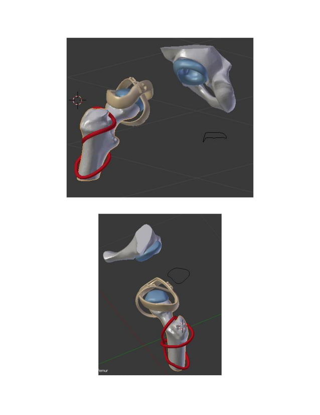 Blender Hip Joint Model | PDF