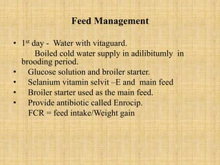 Broiler Brooder management | PPTX | Birds | Pets