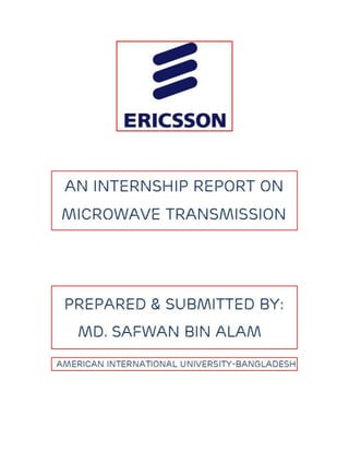 MSIP report | PDF | Computer Networking | Computing