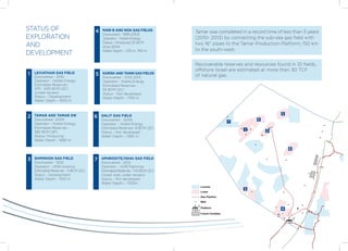 Israel Natural Gas Exploration Opportunities | PDF