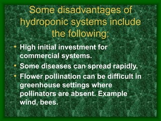 A6 1 understanding hydroponics | PPT