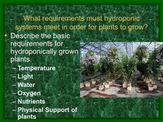 A6 1 understanding hydroponics | PPT