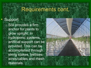 A6 1 understanding hydroponics | PPT