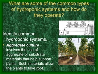 A6 1 understanding hydroponics | PPT