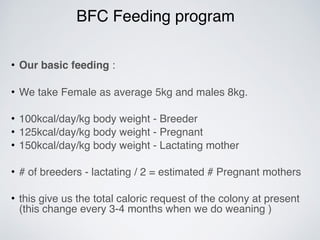Refining feeding routines for macaques | PPT