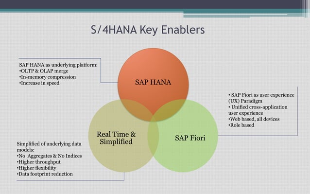 S4hana Migration Overview Pdf