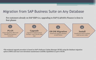 S4HANA Migration Overview | PDF