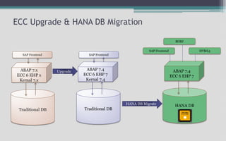 S4HANA Migration Overview | PDF