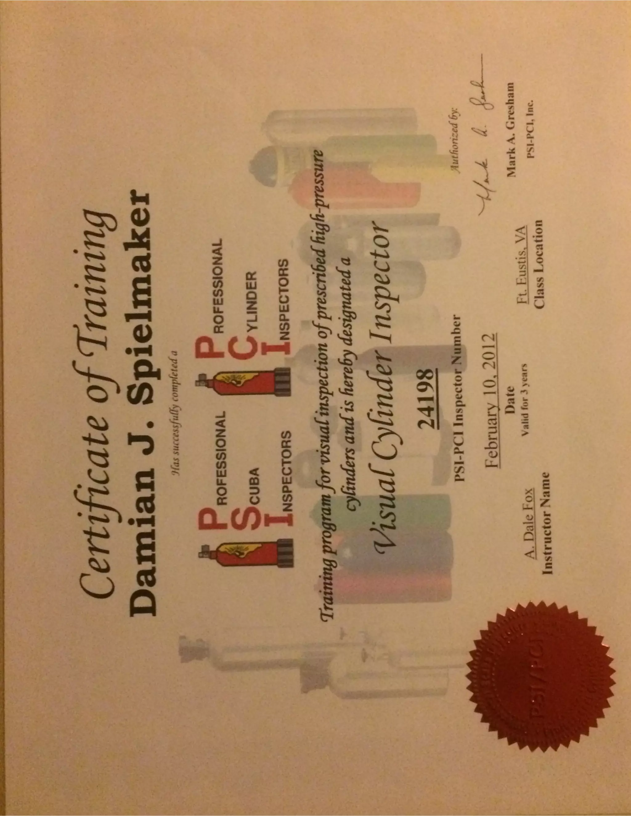 Damian Spielmaker Visual Inspection Cert | PDF