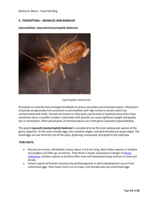 Bettina_Moser_Food_Filth_Blog | PDF