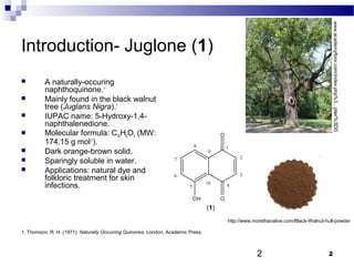 Viva 01032011 | PPT