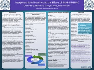 IGP Poster Final | PPT