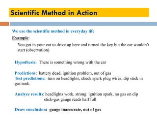 Scientific Method Examples
