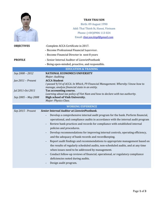 CV Tran Thai Son | PDF