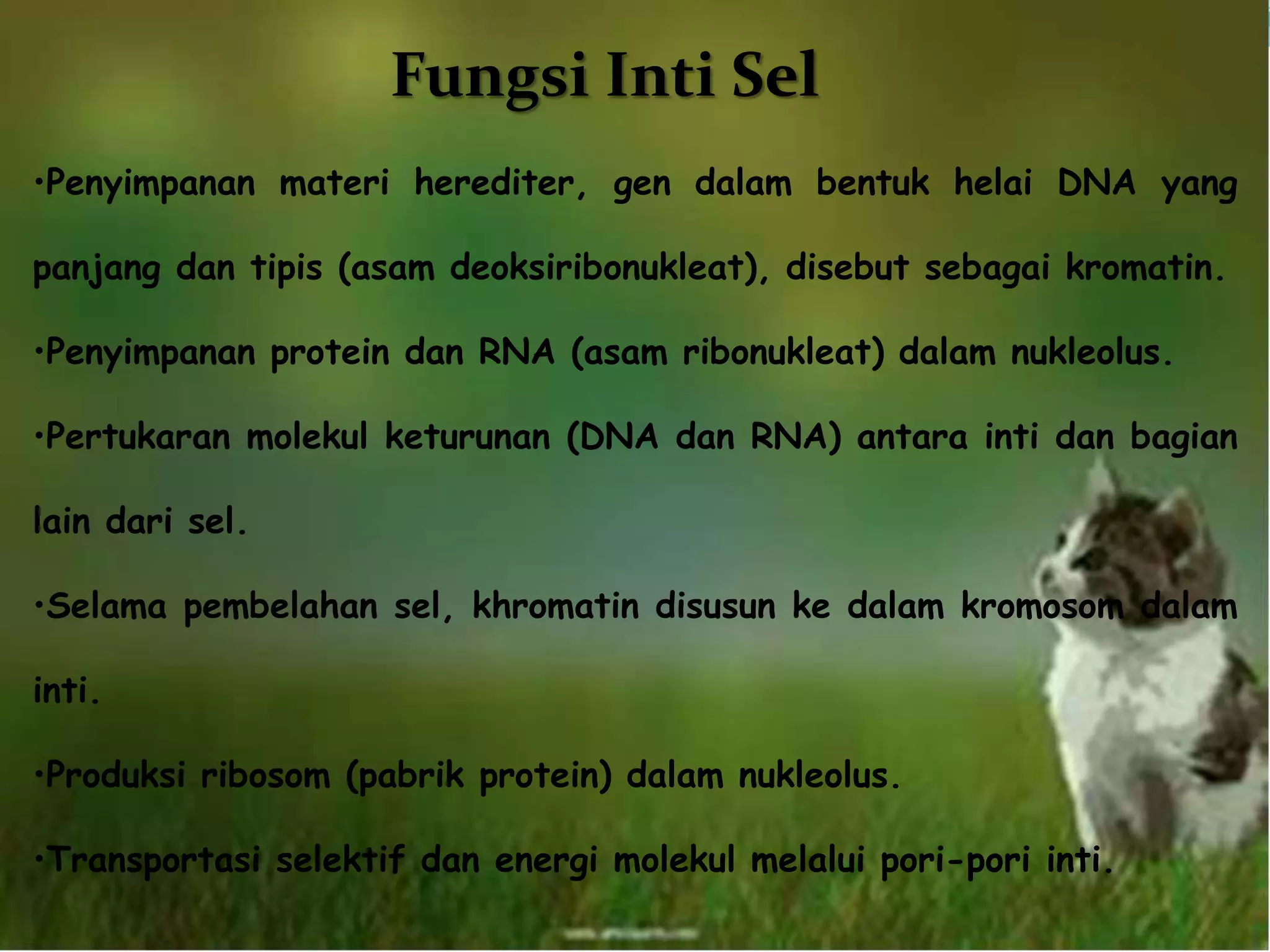 Struktur & fungsi sel (novi ervina) | PPTX