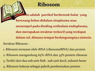 Struktur & fungsi sel (novi ervina) | PPTX