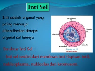 Struktur & fungsi sel (novi ervina) | PPTX