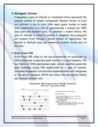 Directed evolution | DOCX