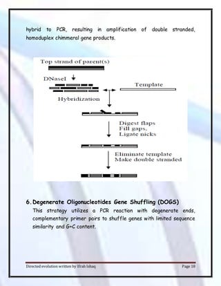Directed evolution | DOCX