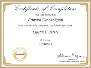 Certificate for electrical safety | PDF