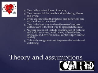 Nursing Theory Analysis Presentation (1) | PPTX