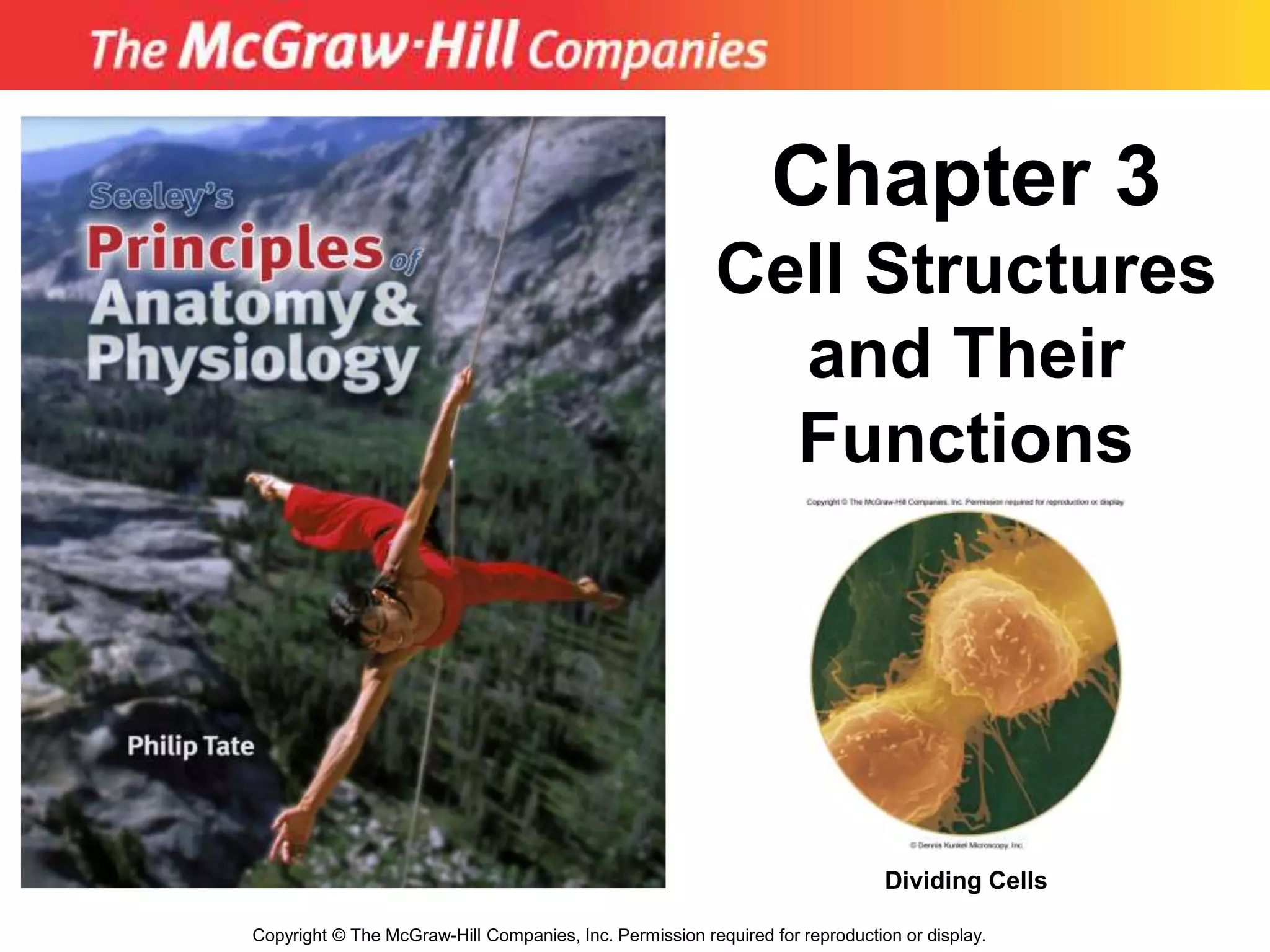 3_Cell.ppt