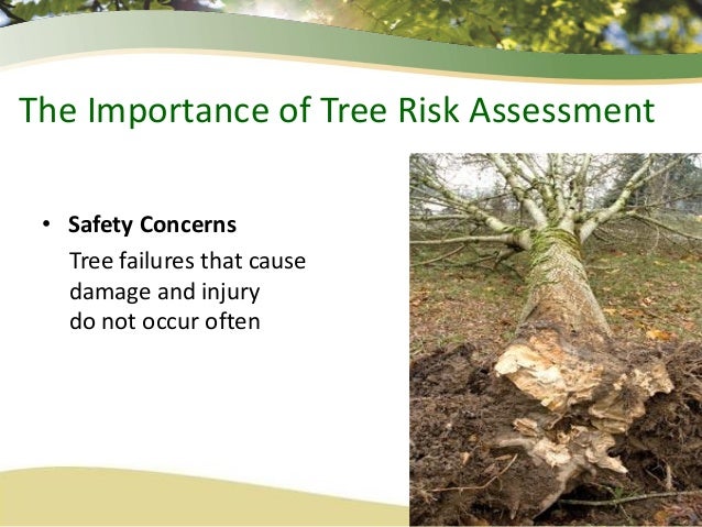 Tree Risk Assessment_MO APPA