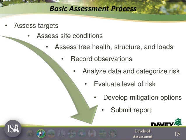 Tree Risk Assessment Report Template