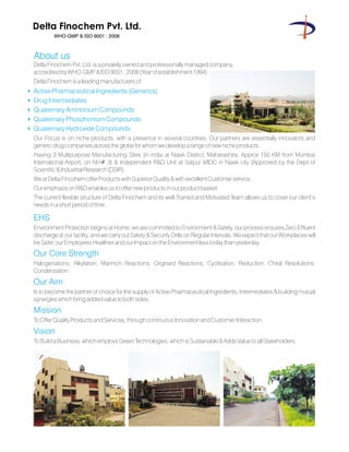 Brochure Delta | PDF