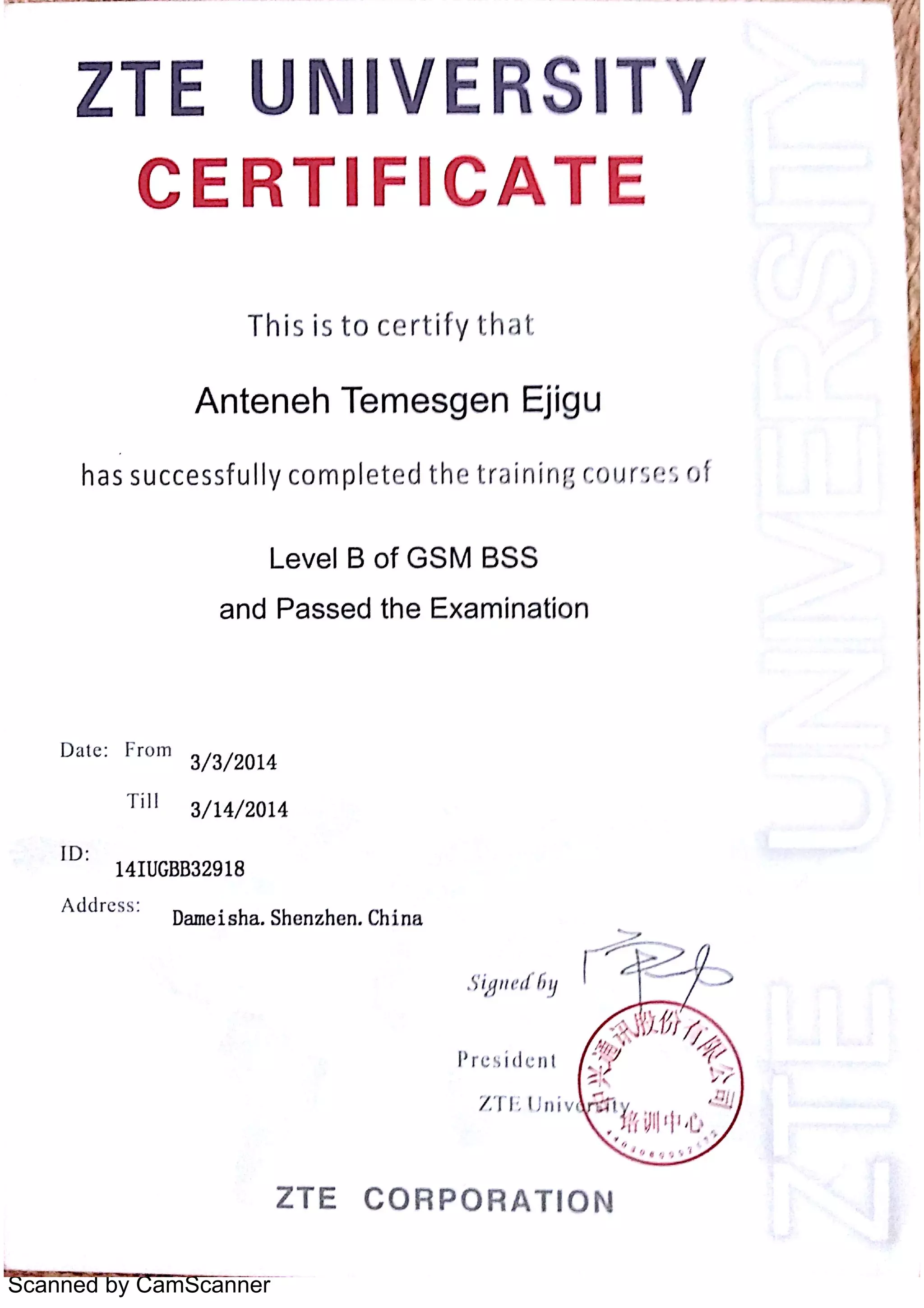 Network (GSM,UMTS&CDMAT) Training Certificate | PDF