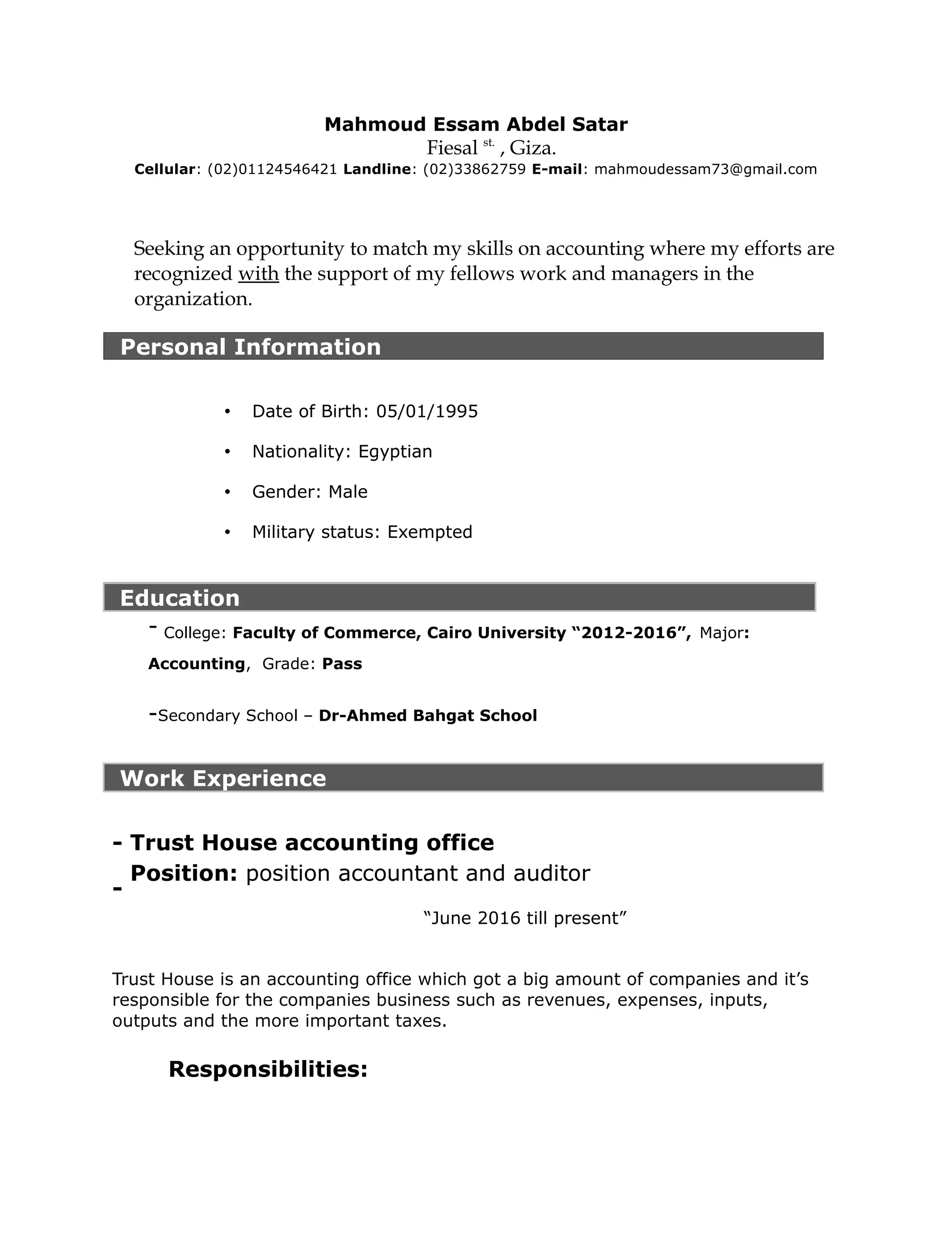 Mahmoud Essam CV | DOC | Business | Business and Finance