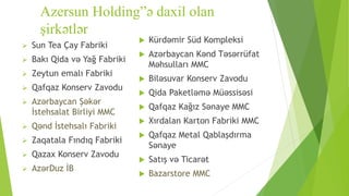 experience at Azersun Holding | PPTX